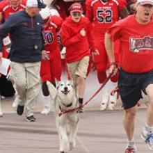 Ted Shepard (@tshepard) on COTREX