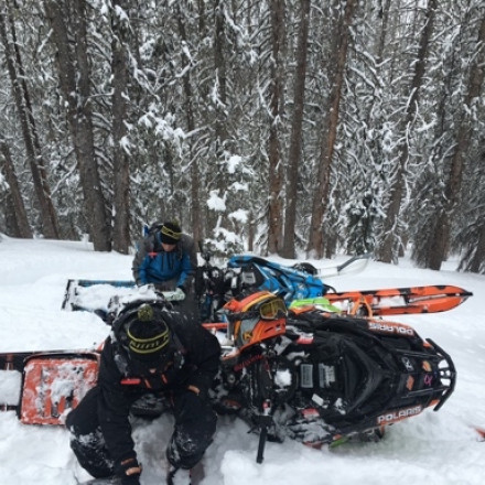 @studer303 on COTREX