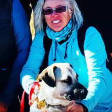 Barbara Jo Monk (@BarbaraJo) on COTREX