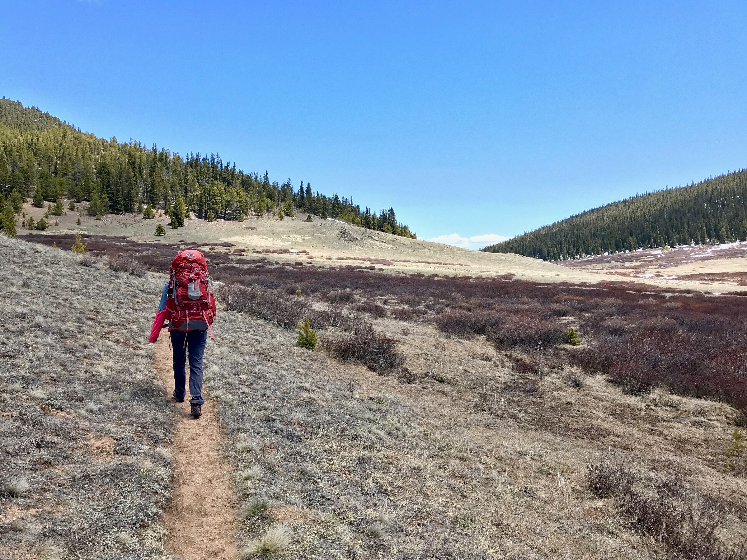 Buffalo Peaks Rich Creek to Tumble Creek Loop · Featured Route | COTREX