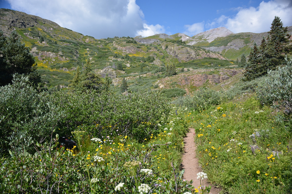 Continental Divide Trail | COTREX