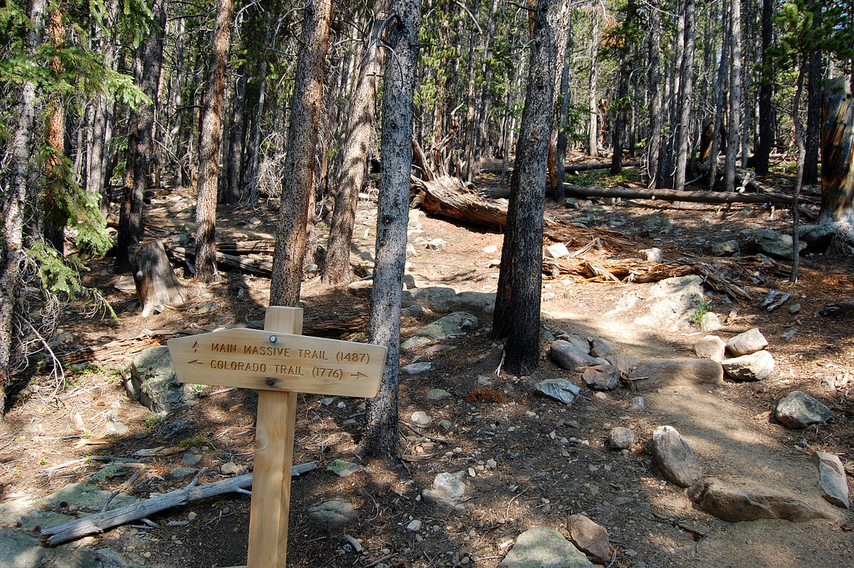 Mount Massive East Slopes · Featured Route | COTREX