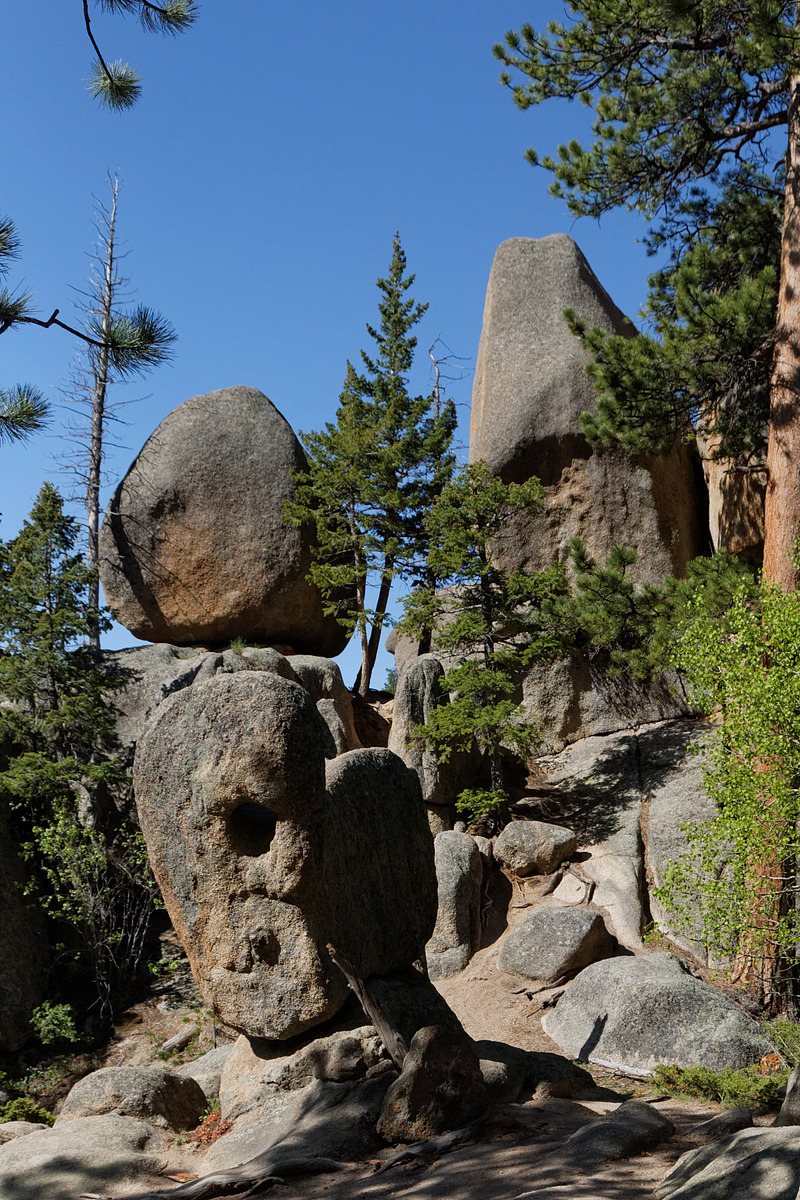 Lumpy Ridge Trailhead | COTREX