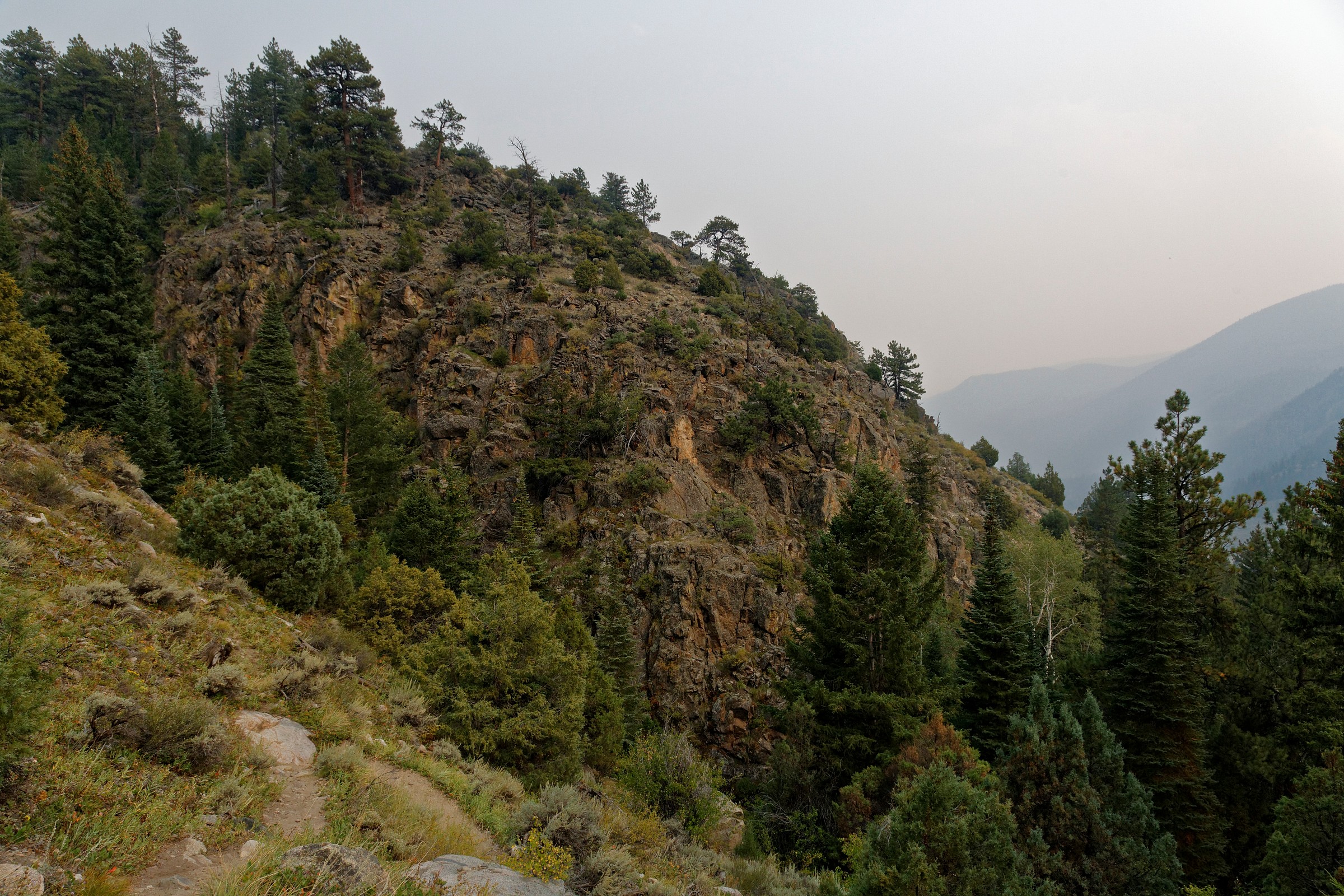 Roaring Creek Trail · Featured Route | COTREX