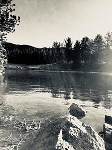 Davis Ponds Loop · Featured Route | COTREX