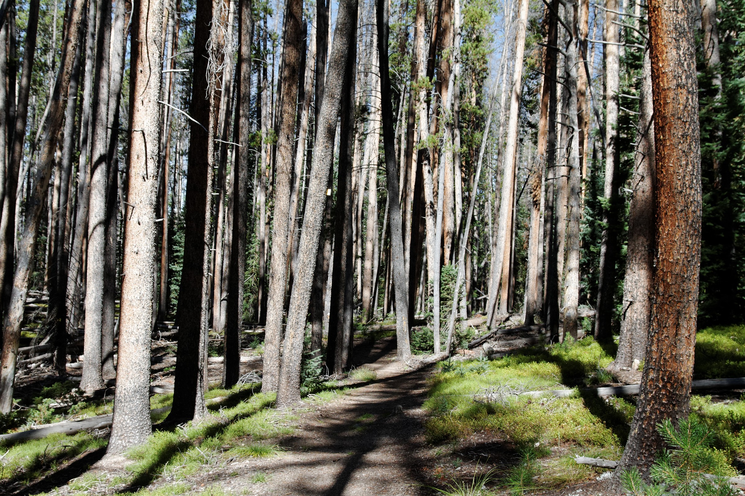 Green Mountain Loop · Featured Route | COTREX