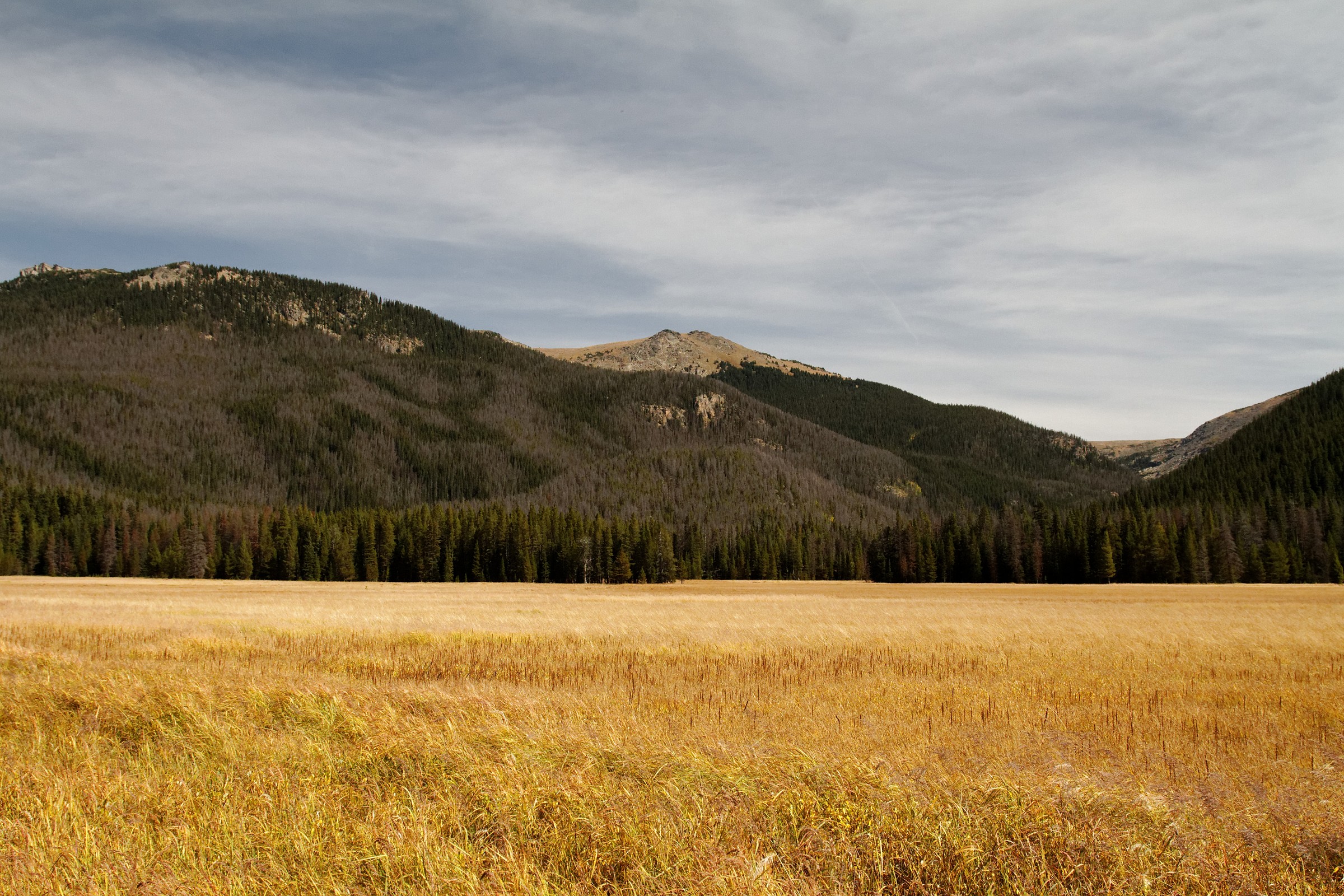 Green Mountain Loop · Featured Route | COTREX