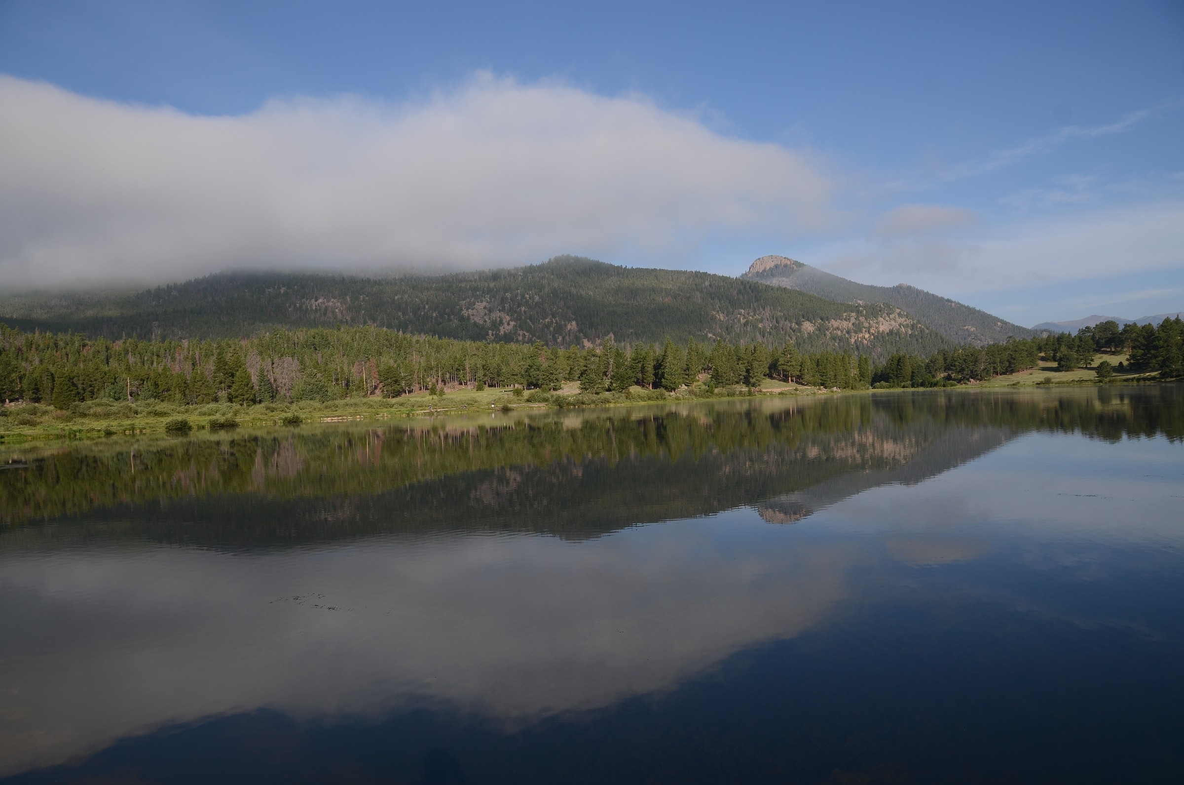 Lily Lake Loop · Featured Route | COTREX