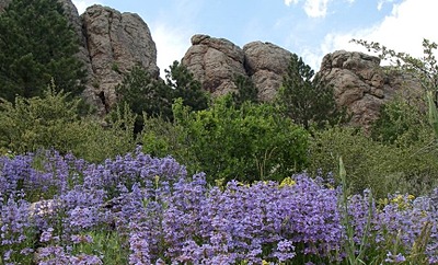 Horsetooth Mountain Trailhead | COTREX