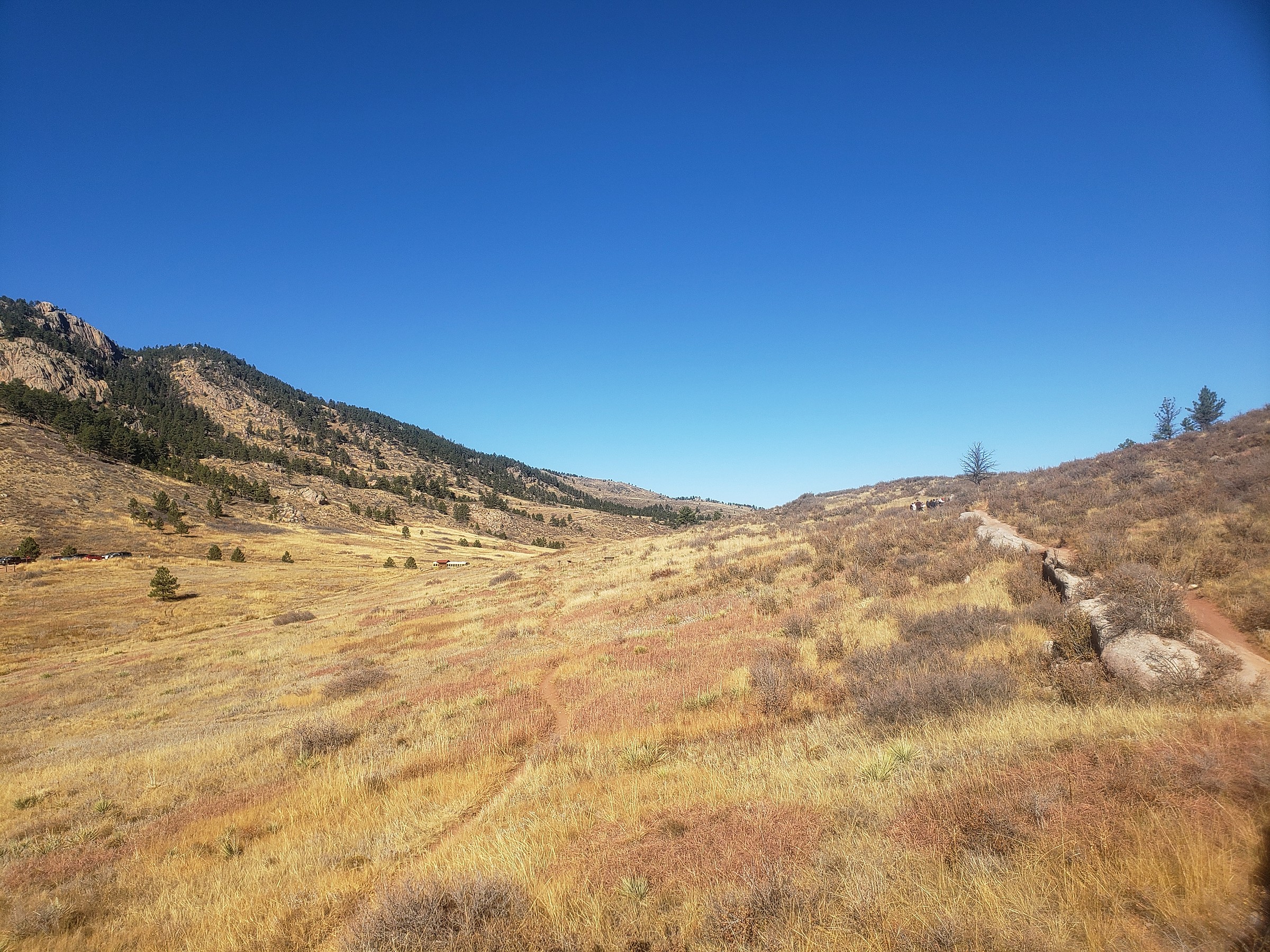 Shoreline to Quarry Ridge Loop Trail · Featured Route | COTREX