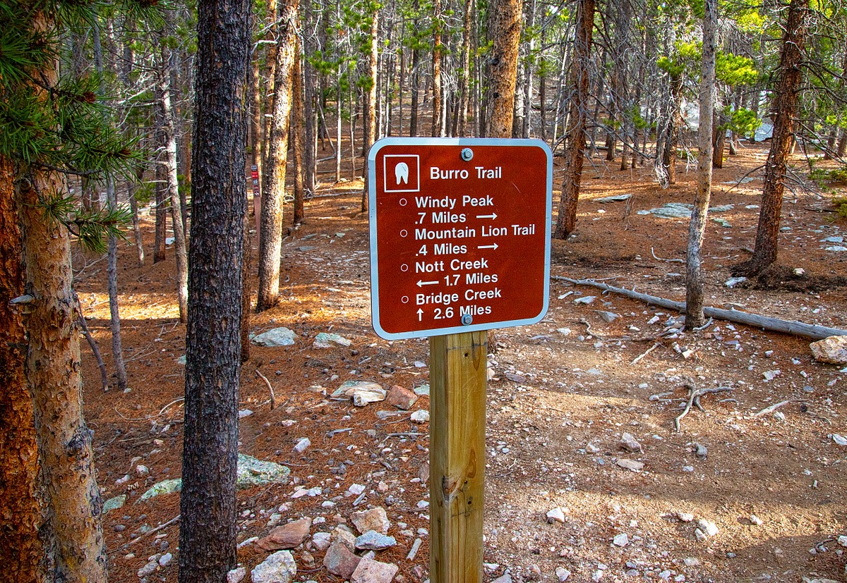 Burro Loop Trail to Windy Peak · Featured Route | COTREX