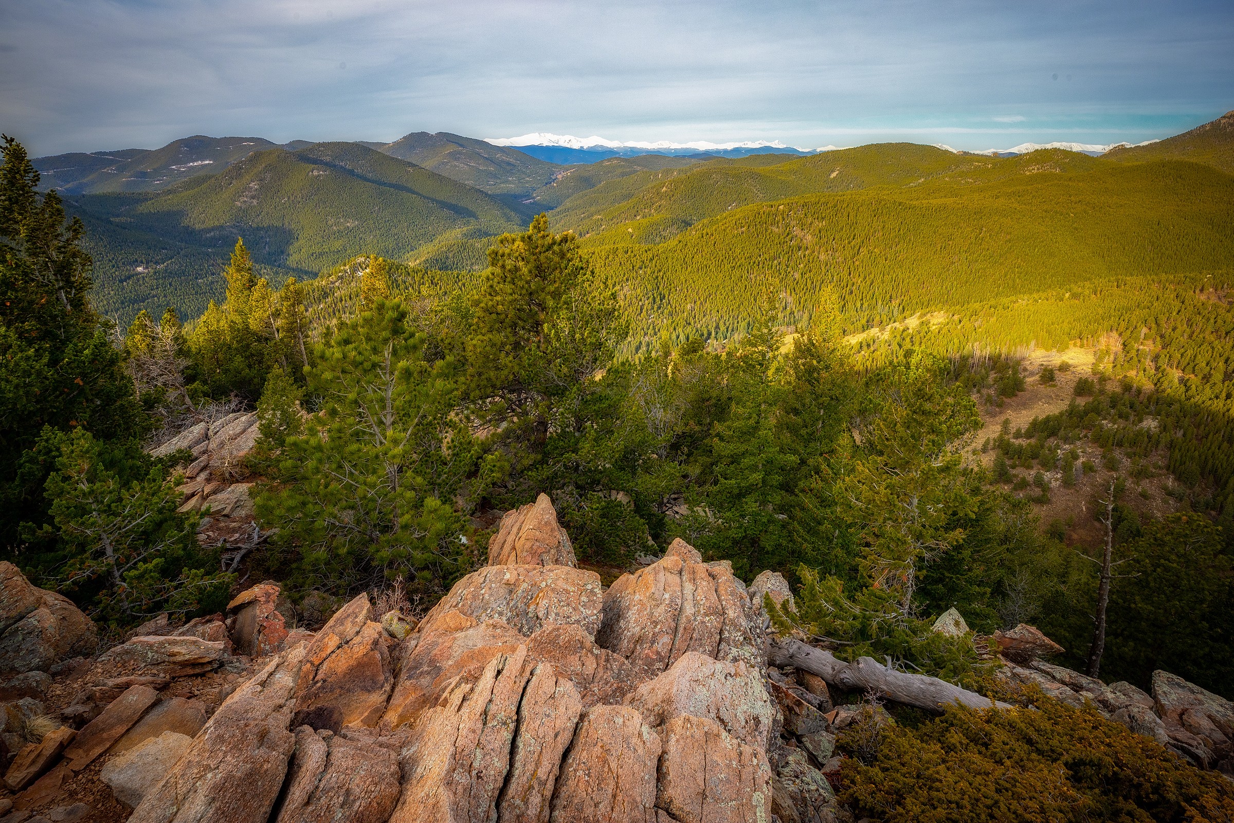 Burro Loop Trail to Windy Peak · Featured Route | COTREX