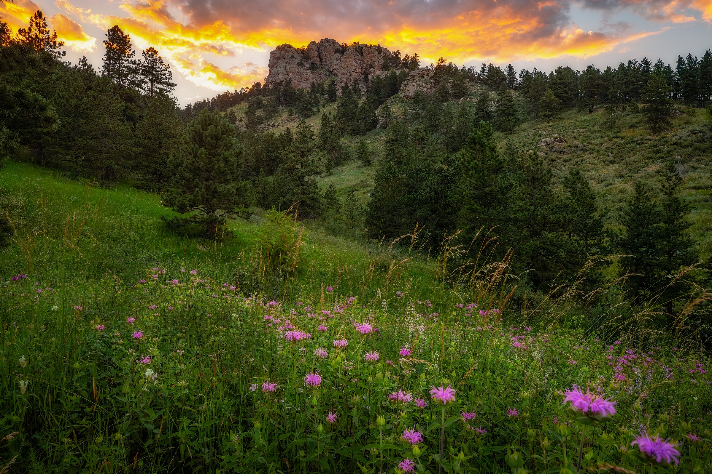 Arthur’s Rock Trail · Featured Route | COTREX