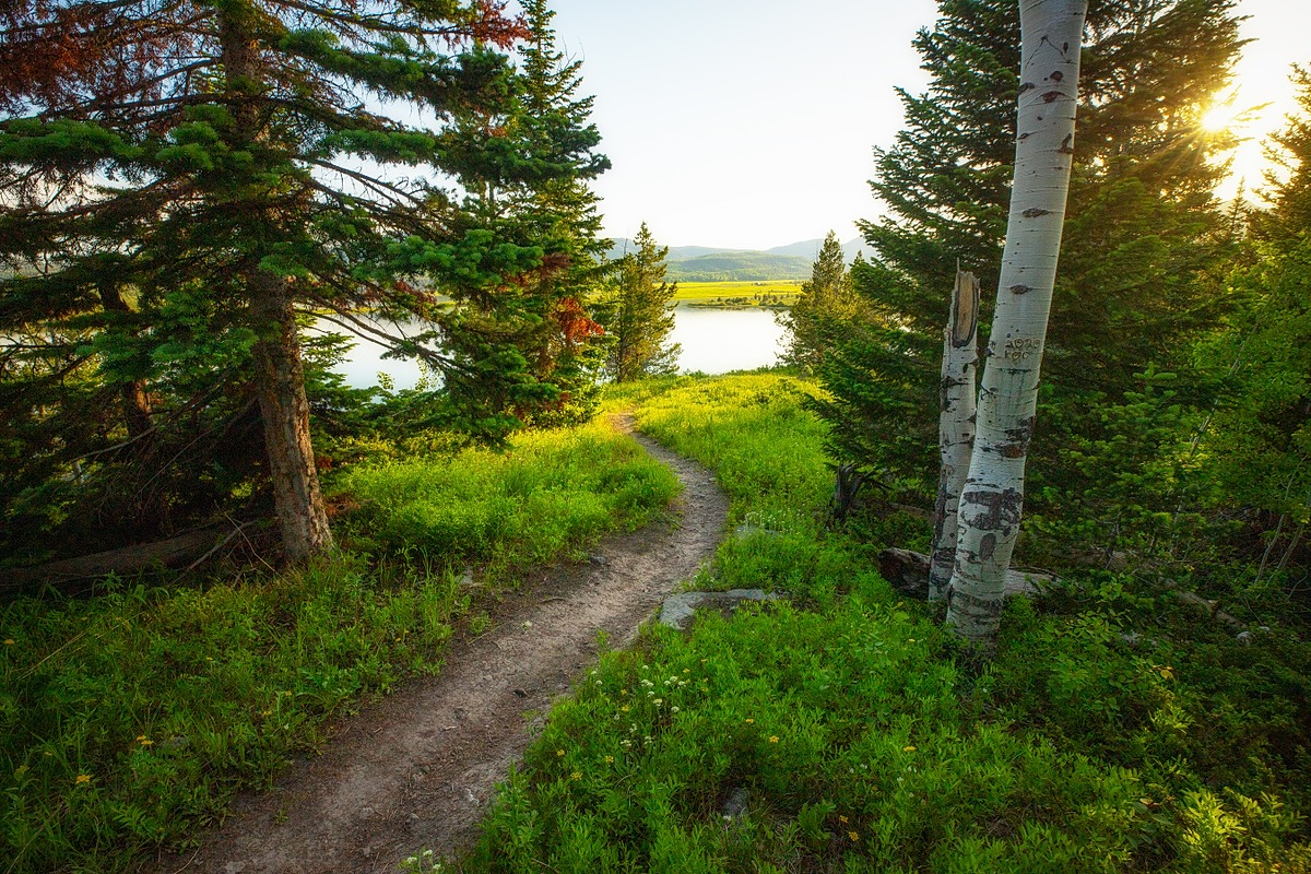Tombstone Nature Trail · Featured Route | COTREX