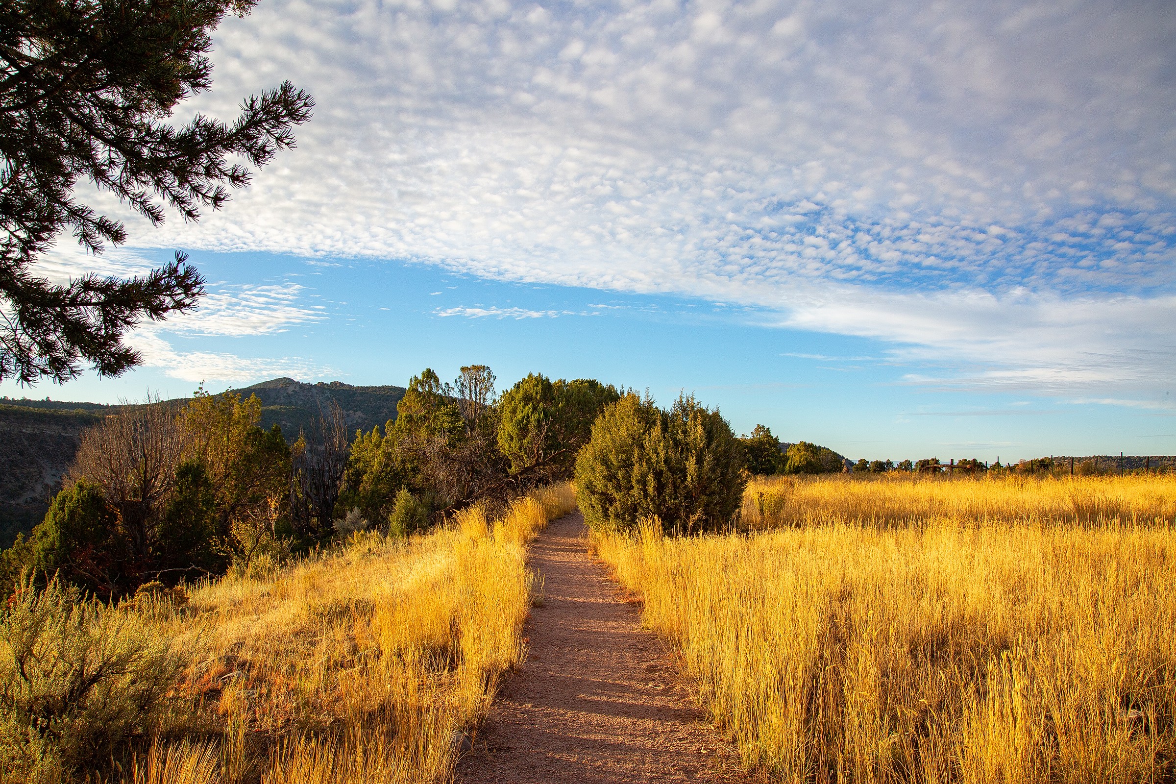 Enchanted Mesa Trail · Featured Route | COTREX