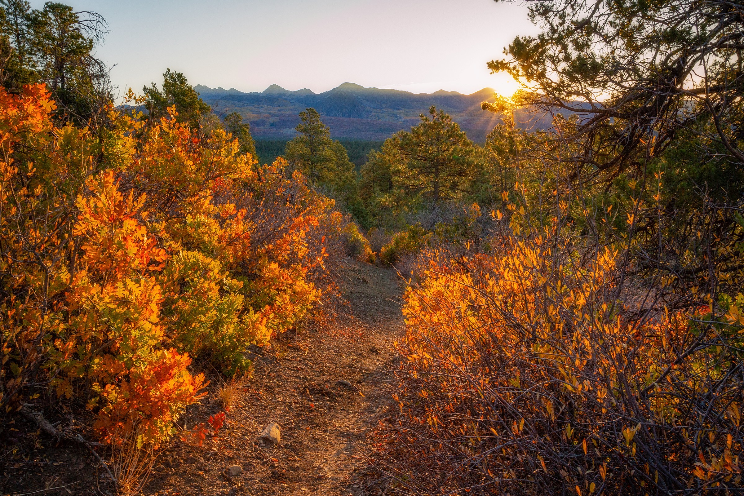 Black Bear Loop Trail · Featured Route | COTREX