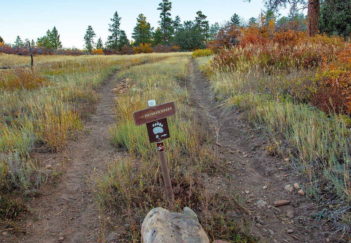 Black Bear Loop Trail · Featured Route | COTREX