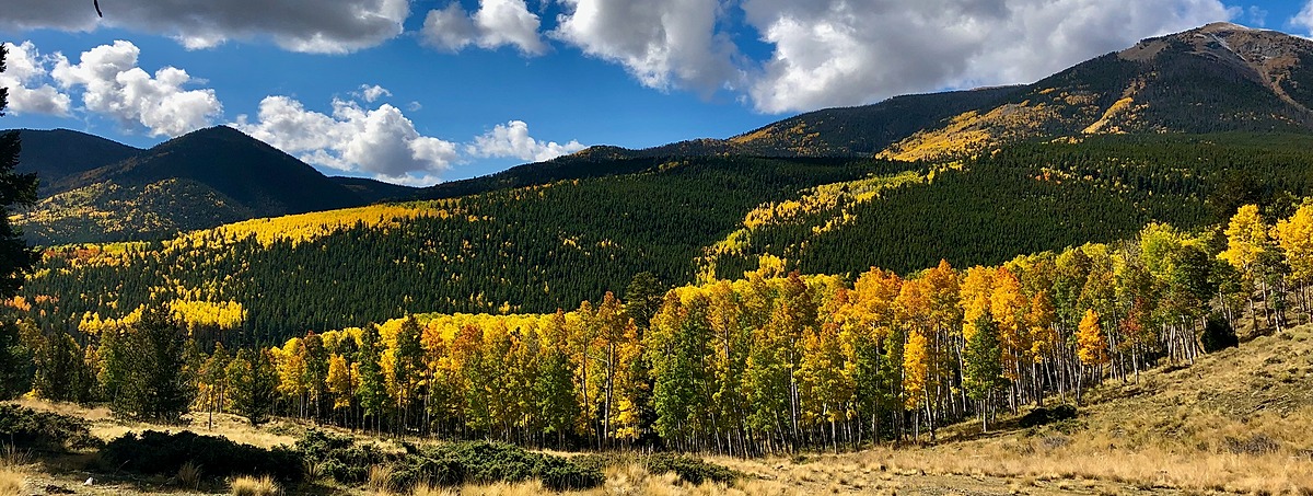 Bonanza Loop · Featured Route | COTREX