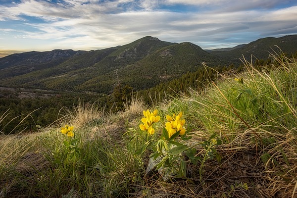 City Lights Ridge · Featured Route | COTREX