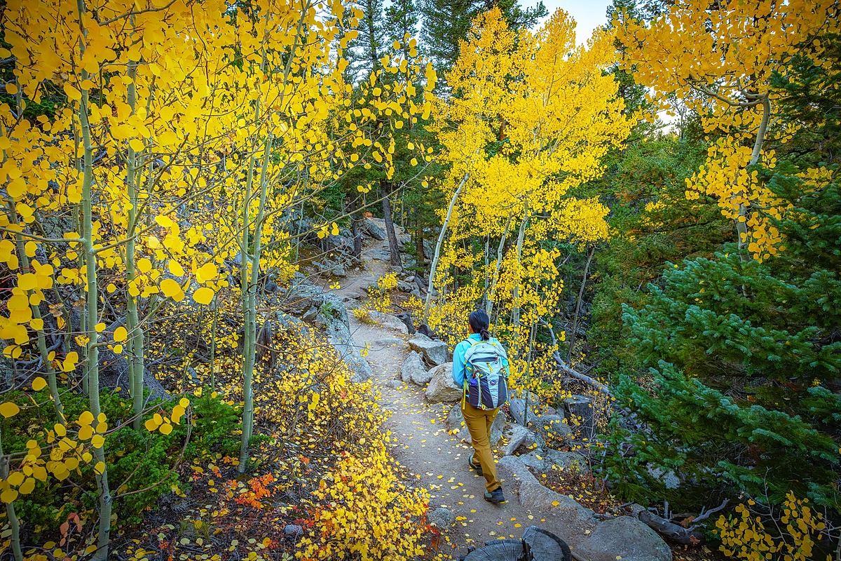 Racoon Trail · Featured Route | COTREX