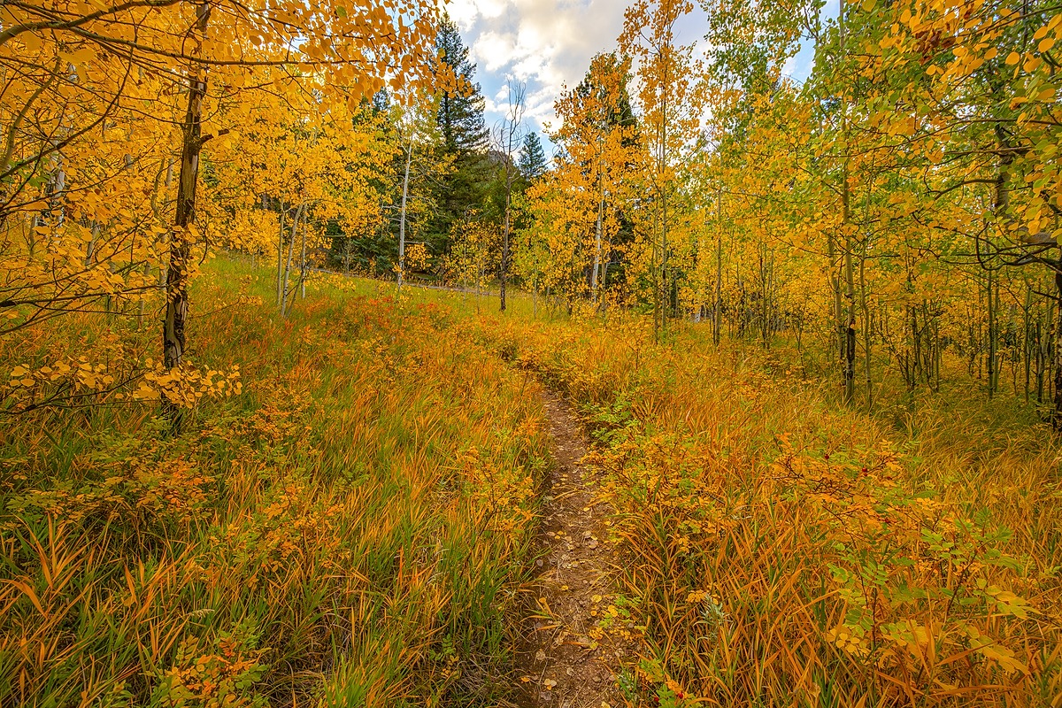 Coyote Trail · Featured Route | COTREX