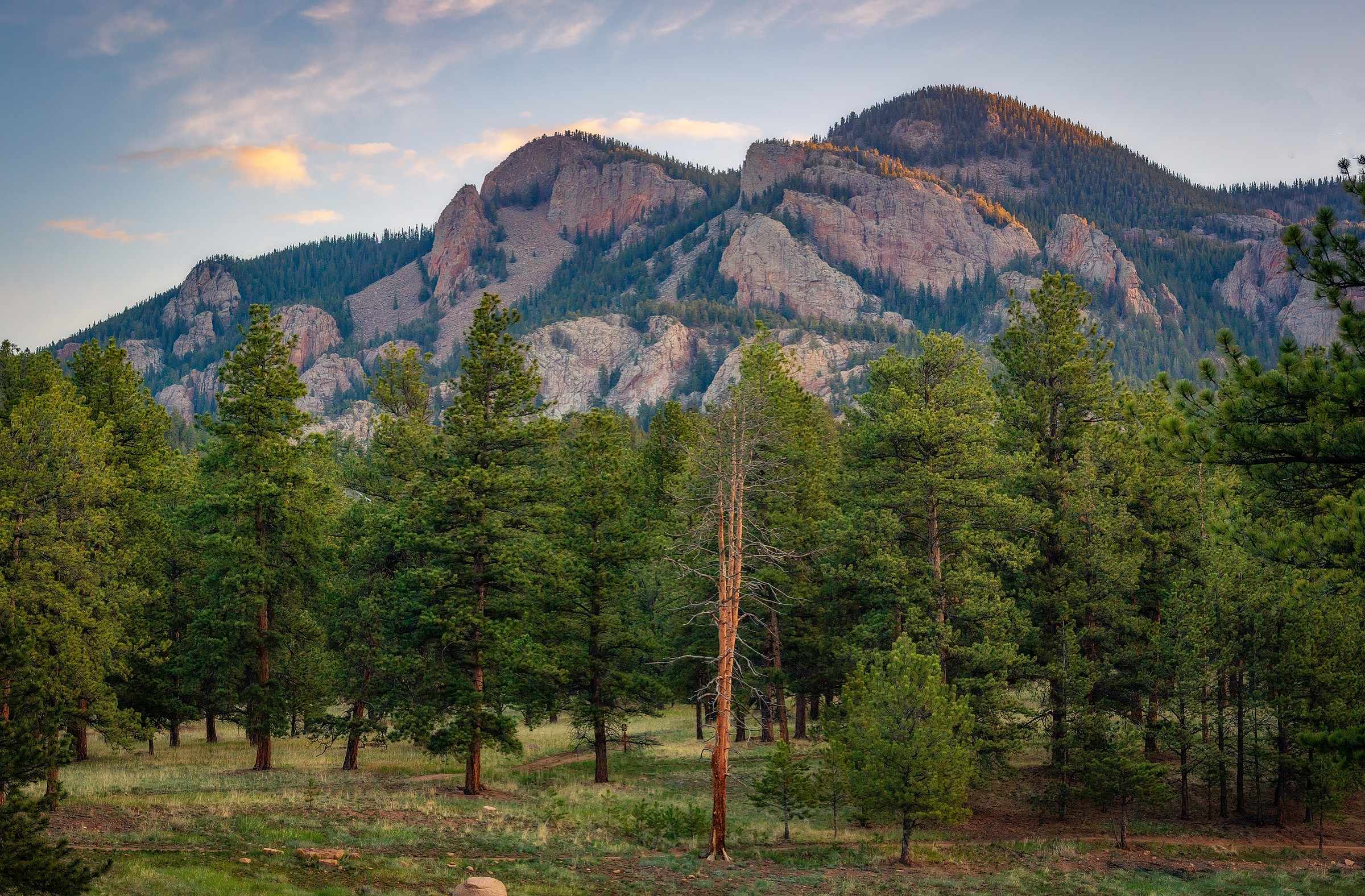Davis Ponds Loop · Featured Route | COTREX
