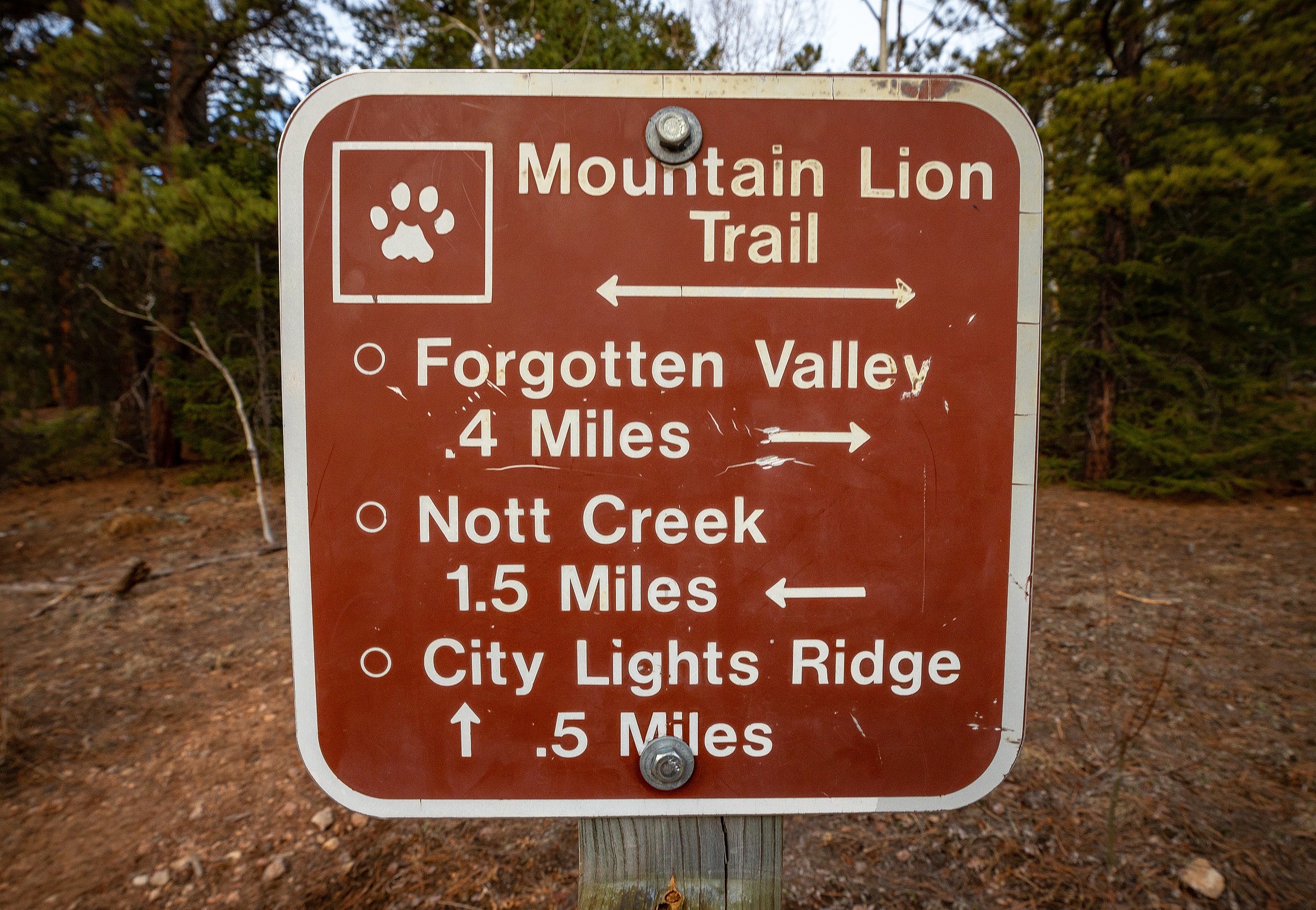 Mountain Lion Trail · Featured Route | COTREX