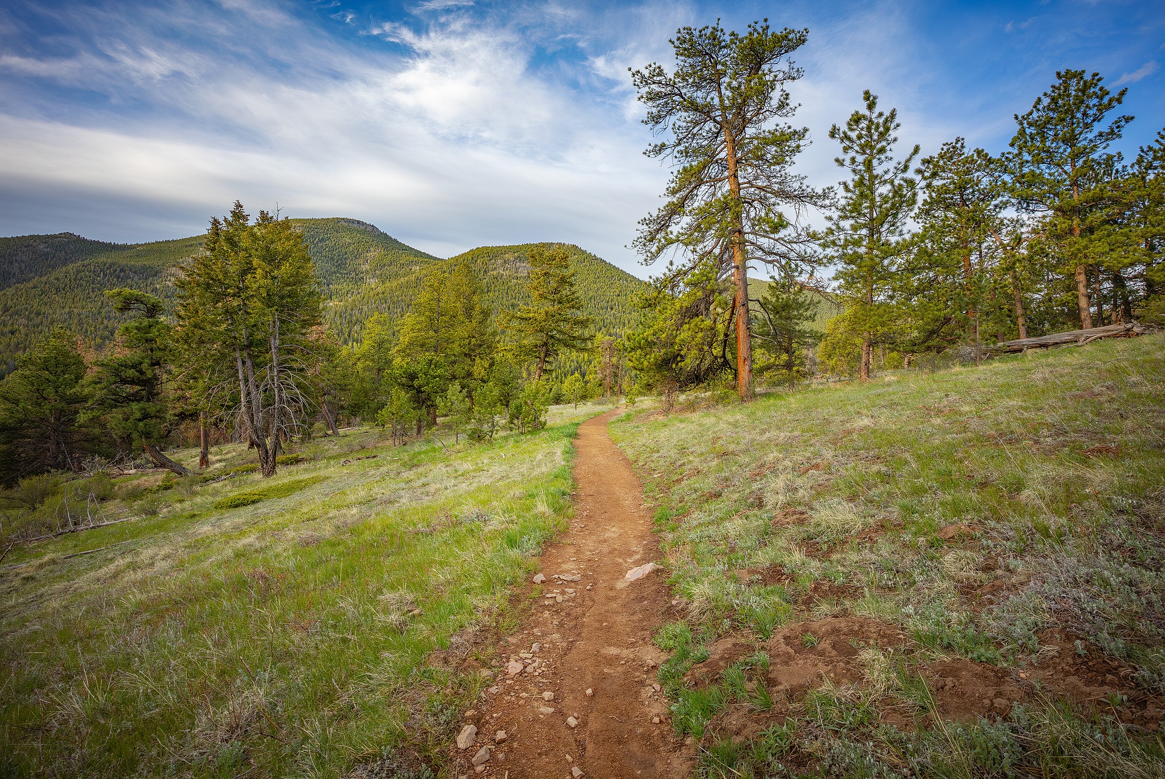 Buffalo Trail · Featured Route | COTREX