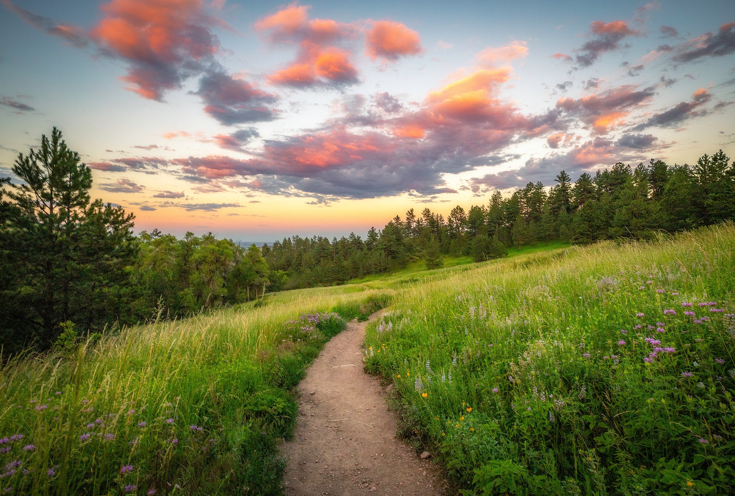 Howard Trail · Featured Route | COTREX