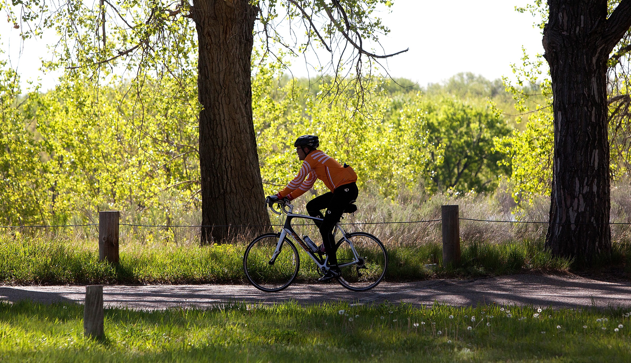 Cherry Creek Trail · Featured Route | COTREX