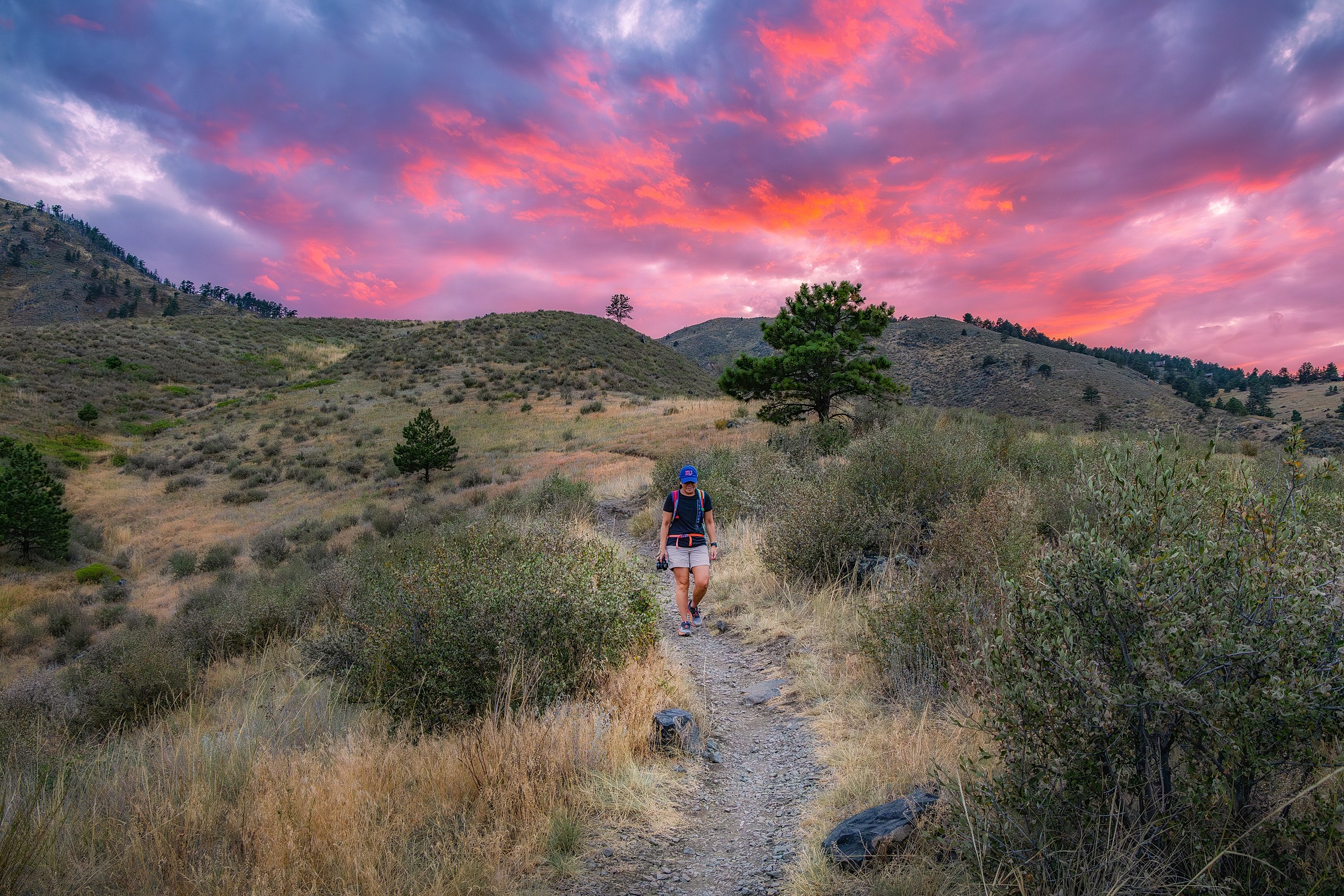 Timber Trail · Featured Route | COTREX